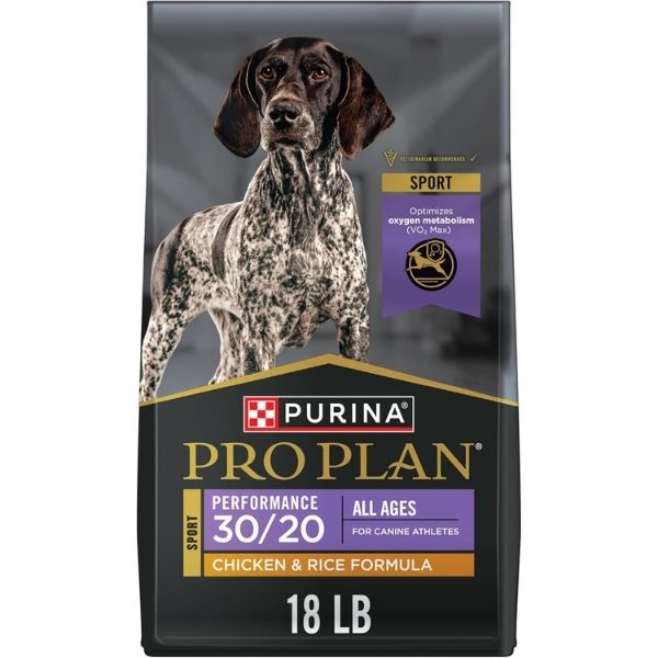 Best Dog Food for Hunting Dogs in 2025