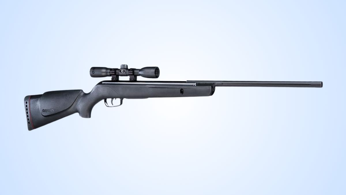 The Best High-Powered Air Rifles for Hunting in 2025