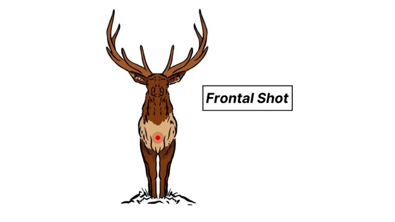 Shooting Elk Guide