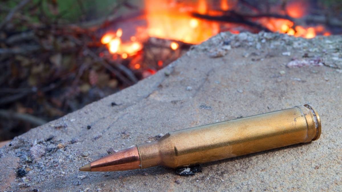 .300 Win Mag vs .338 Win Mag | Gunners' Review